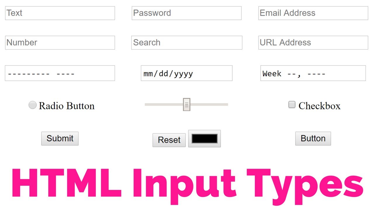 HTML Input Types CodeBridePlus