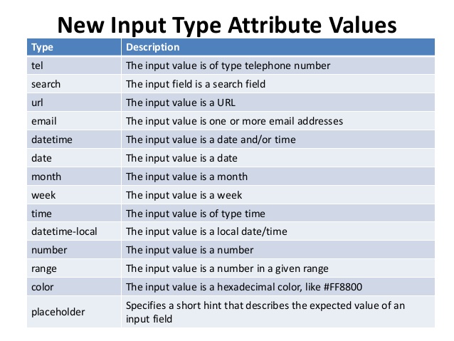 HTML Input Attributes CodeBridePlus